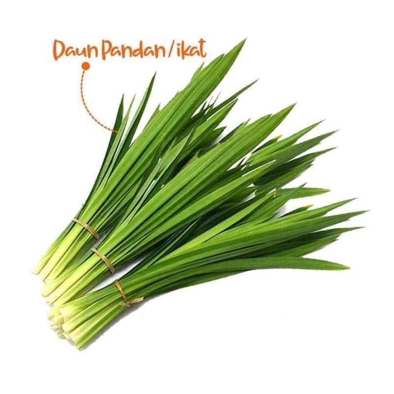 Jual Daun Pandan Leaves 1 ikat | Shopee Indonesia