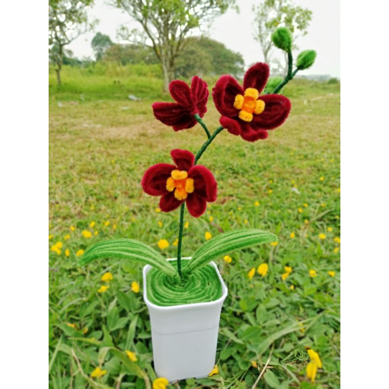 Jual BUNGA ANGGREK / BUNGA HIAS / BUNGA KAWAT BULU | Shopee Indonesia