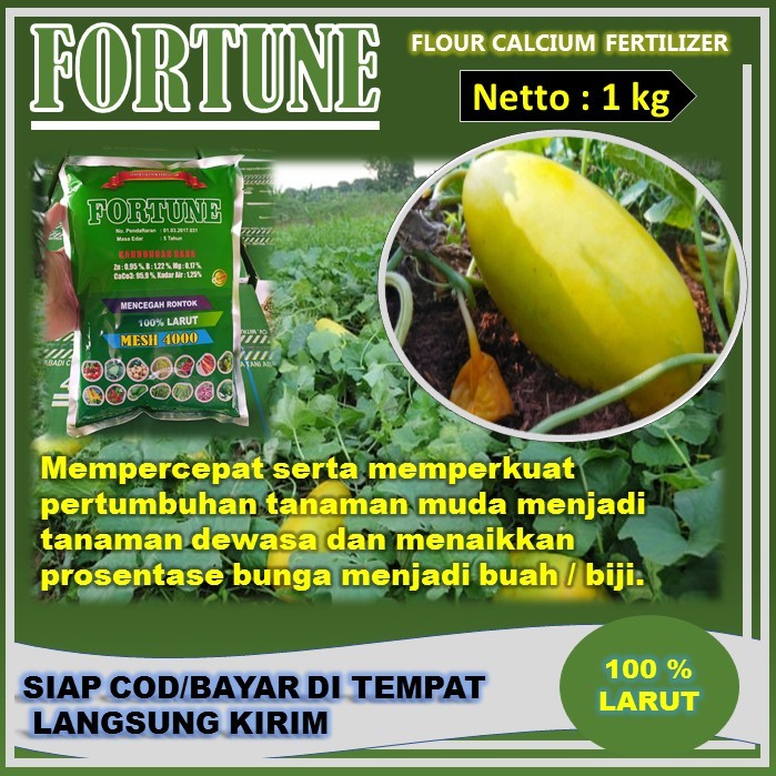 Jual PUPUK Pencegah rontok buah dan bunga TANAMAN TIMUN SURI FORTUNE ...