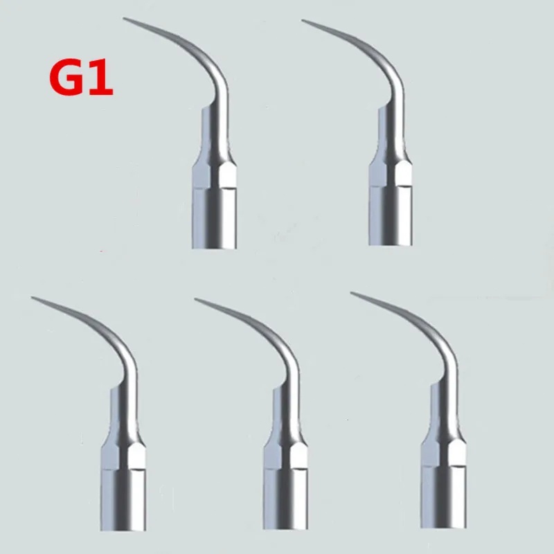 Jual 5PCS Dental Scaler Tips G1 fit EMS Woodpecker DTE Ultrasonic ...
