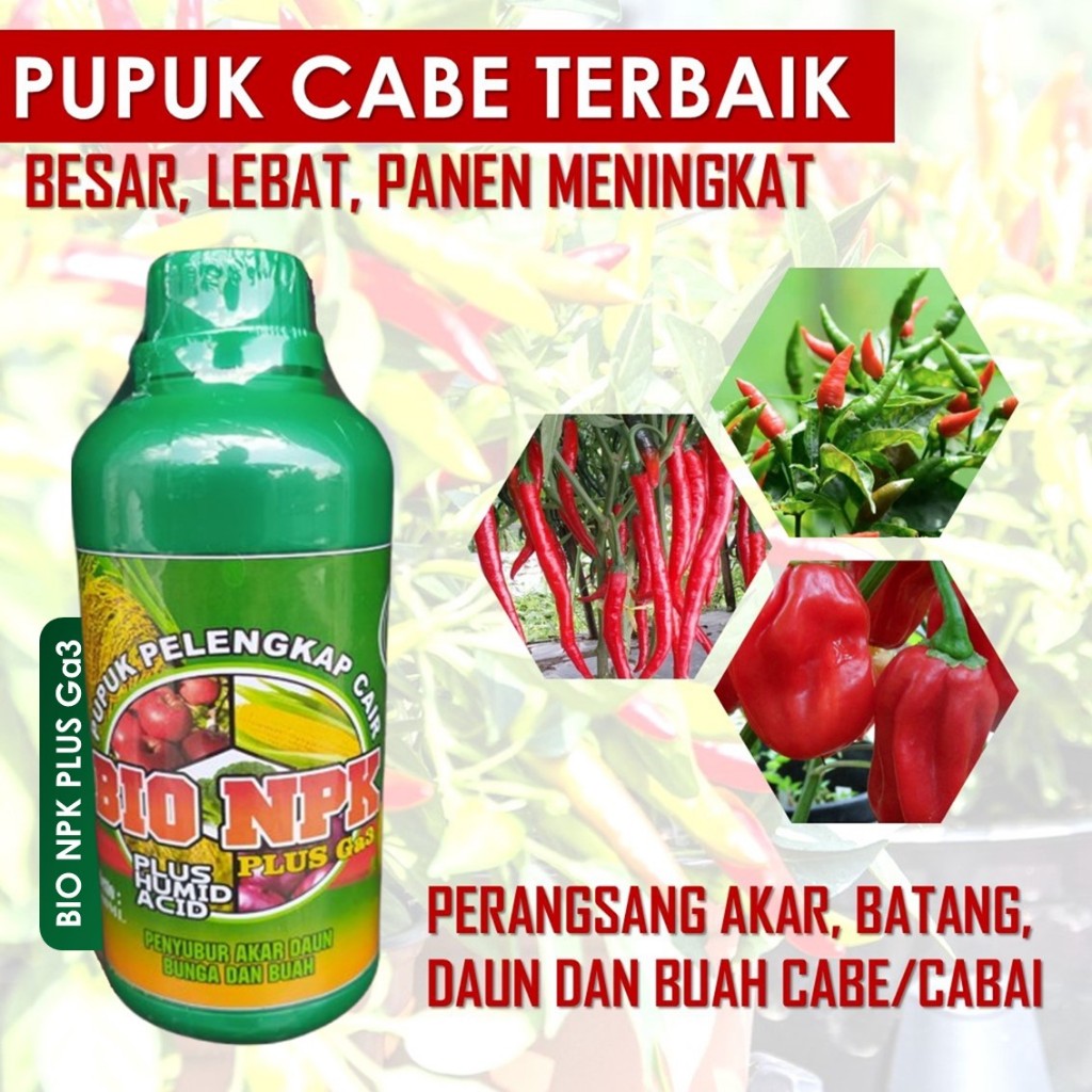 Jual Pupuk Ajaib Pelebat Buah Cabe, NPK GAZA 500 ML Perangsang Buah Cabe Lebat, Pupuk Kalsium ...