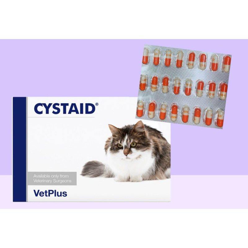 Jual Cystaid Plus CystaidPlus Kapsul Obat Gangguan Saluran Kencing ...