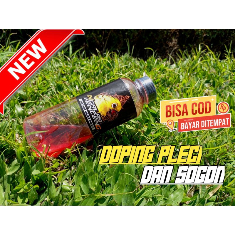 Jual Doping Pleci Dan Sogon Dextro Dosis Tinggi | Shopee Indonesia