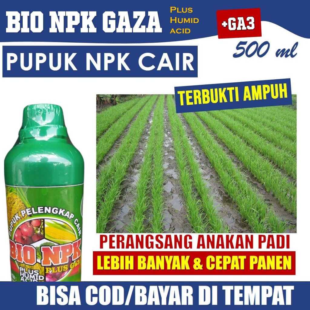 Jual Pupuk Ajaib PERBANYAK ANAKAN PADI - BIO NPK GAZA 500 ML Panen Padi Lebih Banyak dan Besar ...