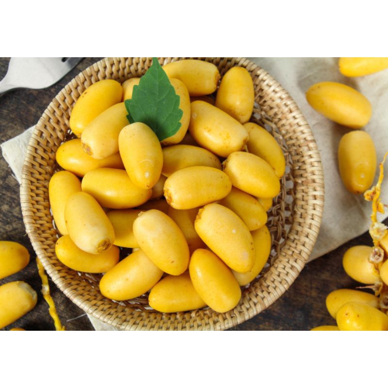 Jual Kurma muda barhee 1kg, kurma ruthab premium 1kg. kurma ruthab ...