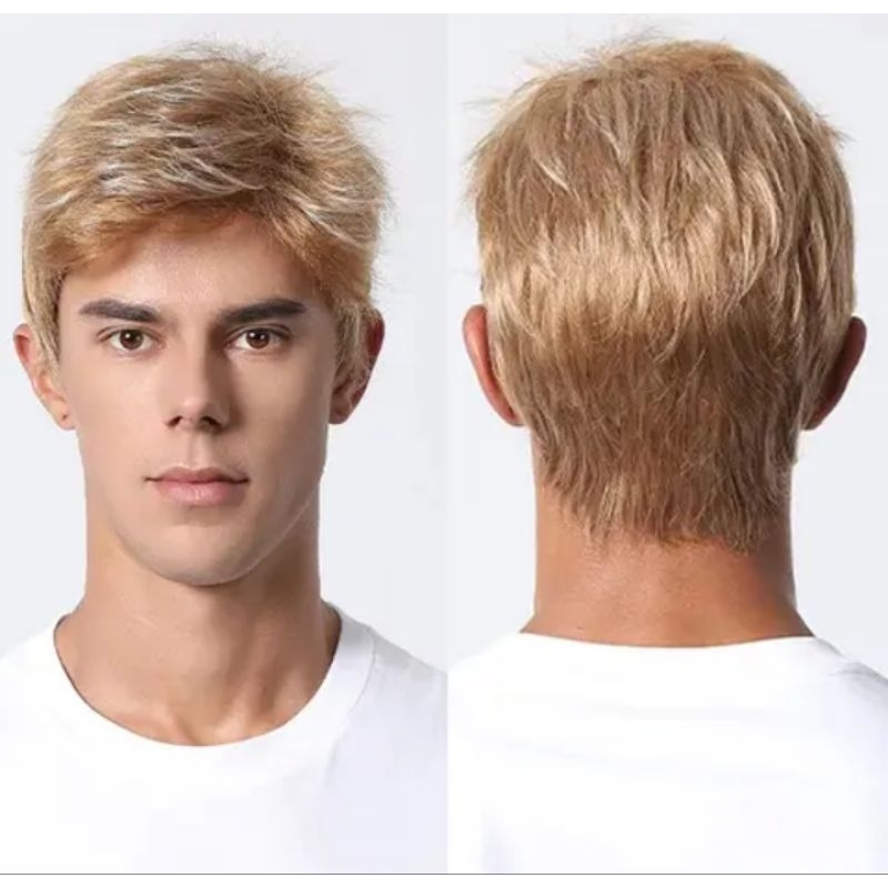 Jual GRIYA REMA Wig Pria Pendek Wig Korean Style Wig Pendek Pria Wig ...