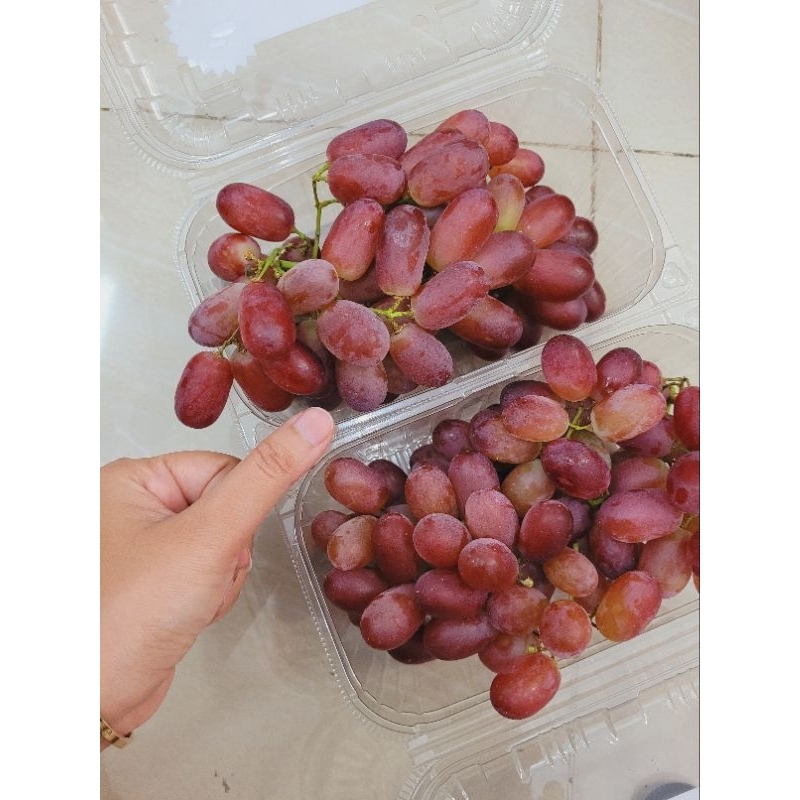 Jual Anggur Crimson Manis segar Premium | Shopee Indonesia