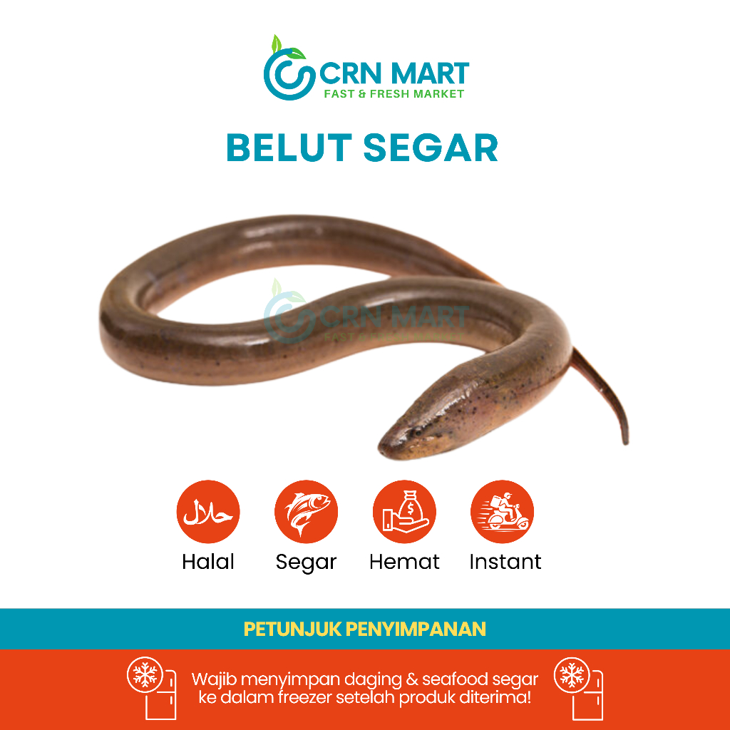 Jual CRN MART - Ikan Belut Segar/Ikan Air Tawar Segar/Ikan Belut Hidup ...