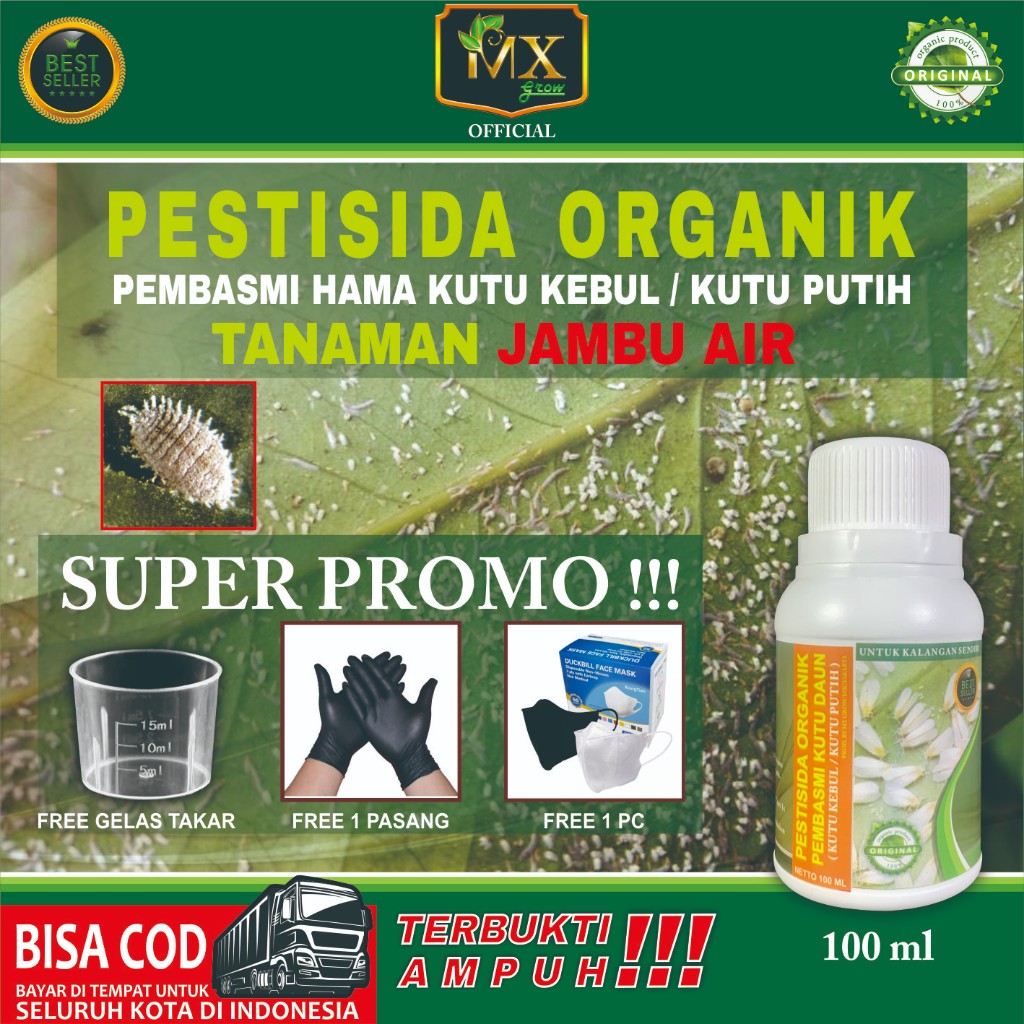 Jual Pestisida Organik Pembasmi KUTU DAUN ( Kutu Kebul / Kutu Putih ...