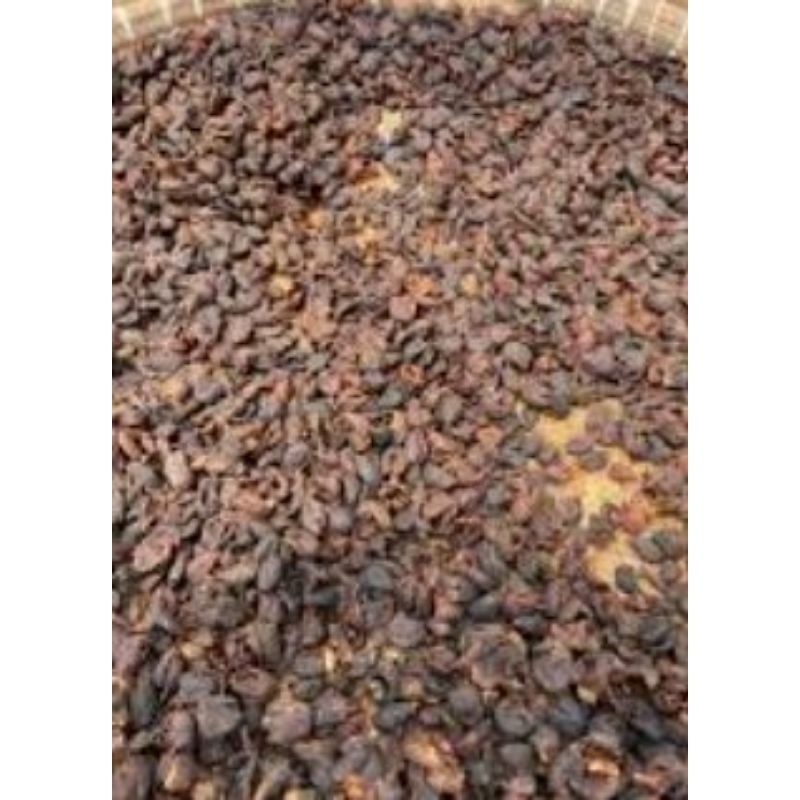 Jual cascara/kulit buah kopi arabika kering 1kg | Shopee Indonesia