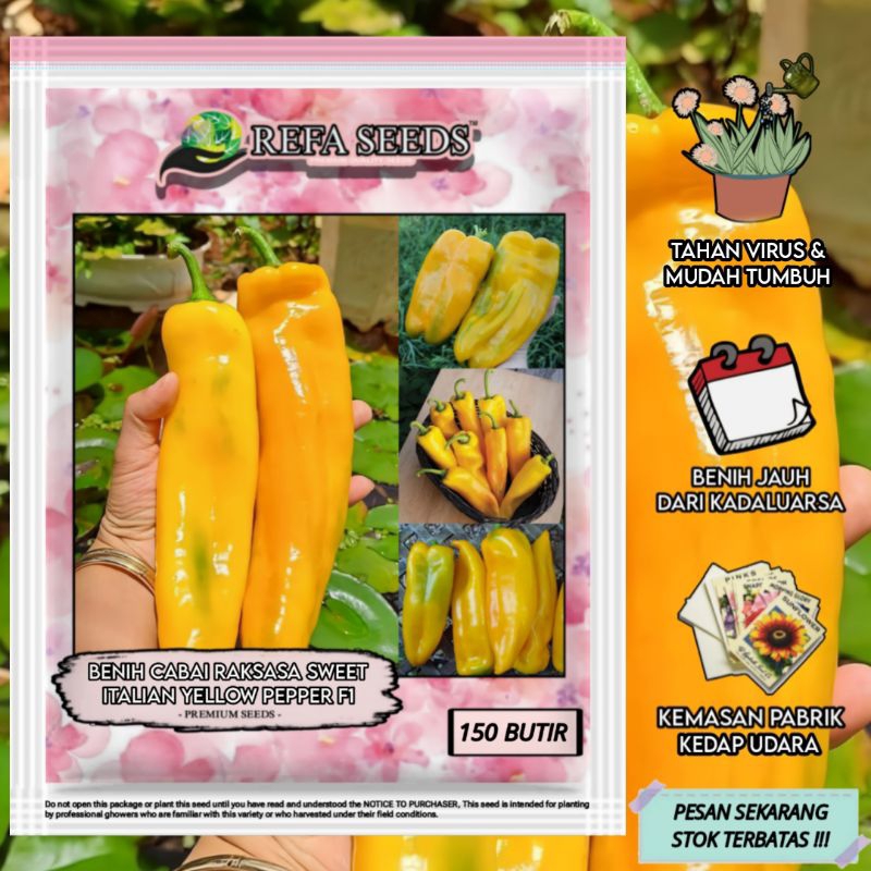 Jual REFA (150 Butir) Benih Cabai Raksasa Sweet Yellow Pepper Original ...