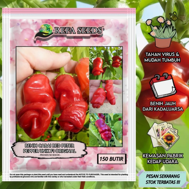 Jual REFA (150 Butir) Benih Cabai Nyeleneh Peter Pepper Kemasan ...