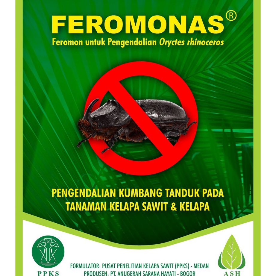 Jual FEROMONAS Feromon Pengendali Hama Kumbang Tanduk pada Kelapa Sawit ...