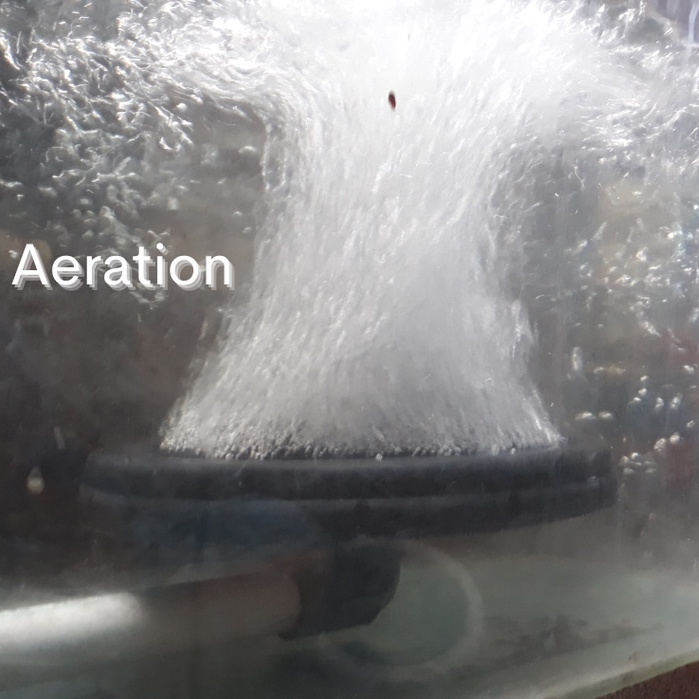 Jual fine bubble diffuser 8 inch untuk aerasi kolam bioflok kolam ipal ...