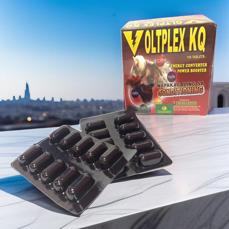 Jual voltplex KQ Vitamin Ayam Phillipines VOLTPLEX KQ 1 dos isi 10 ...