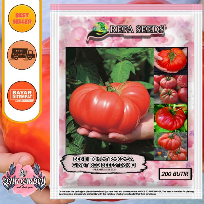 Jual Isi (200 Butir) Benih Tomat Raksasa Langka Giant Tomato Beefsteak ...