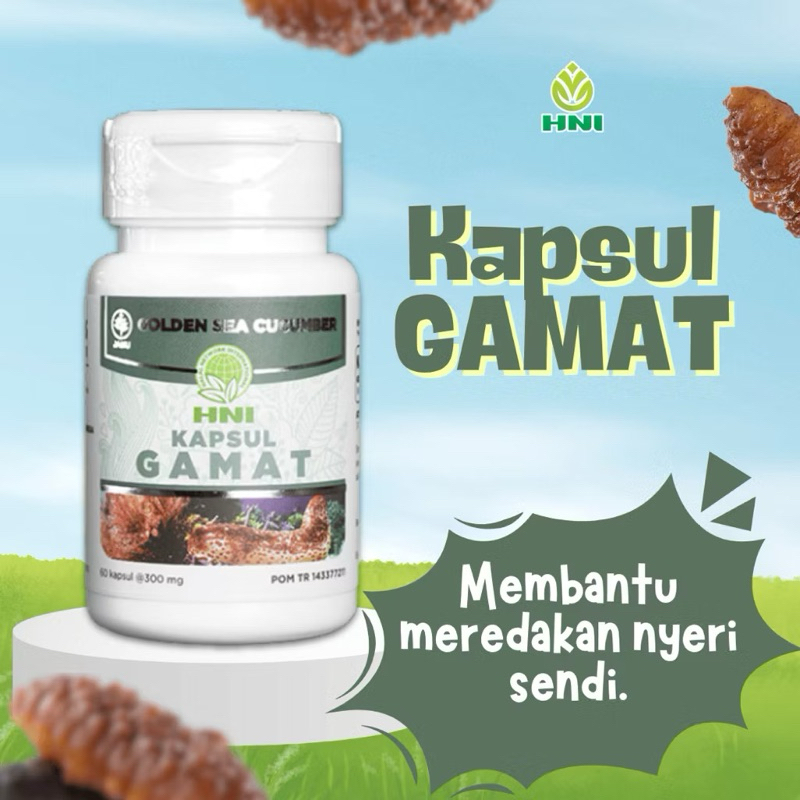 Jual GAMAT KAPSUL Ekstrak Teripang Emas Untuk Nyeri Sendi - HNI HPAI ...