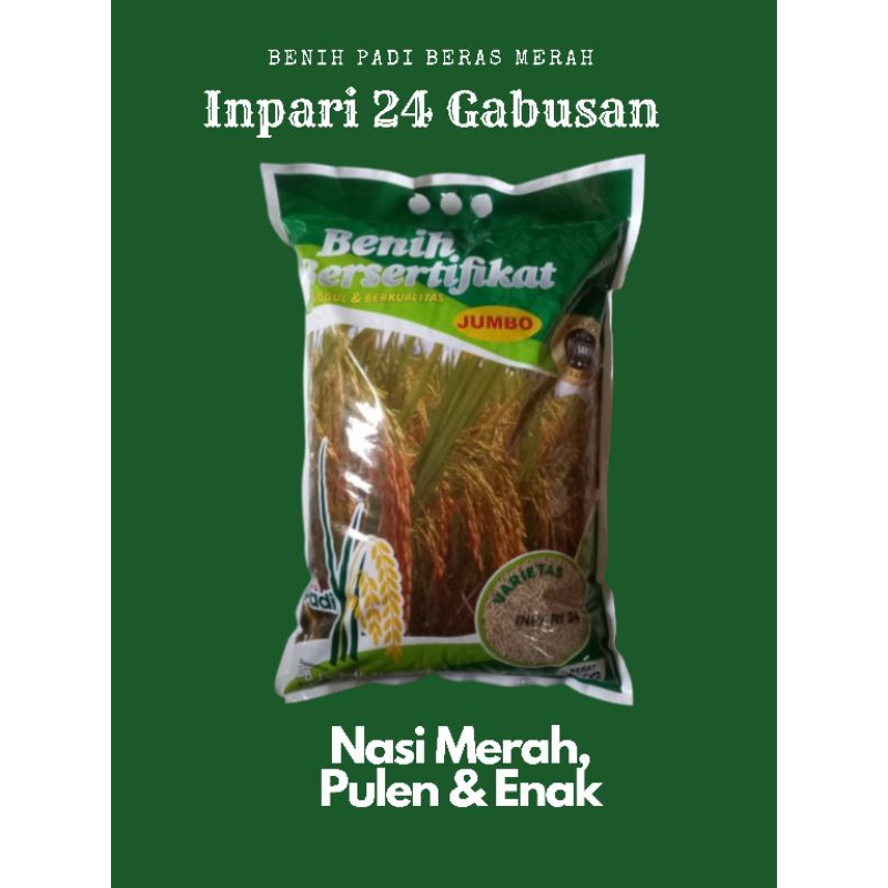 Jual Benih Padi Merah Inpari 24 Gabusan | Shopee Indonesia