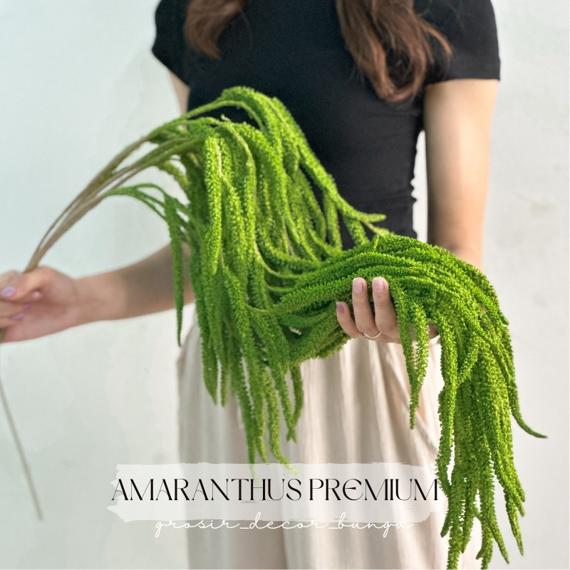 Jual (TT) bunga gantung hias amaranthus artificial BUNGA AMARANTHUS ...