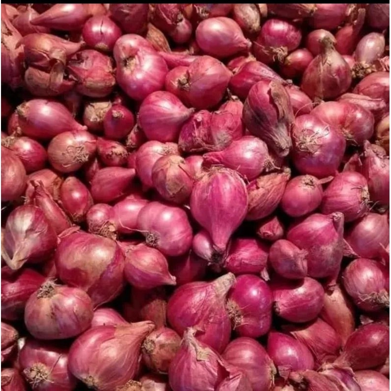 Jual Bawang Merah 1Kg Bawang Merah Brebes1kg Bawang merah Super 1kg ...