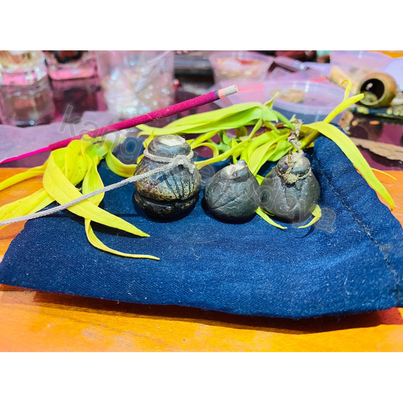 Jual kelenting mungil | Shopee Indonesia