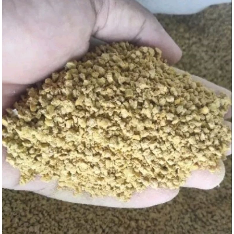 Jual Pur Ayam B12L New Hope 1kg Pakan Ayam Dewasa Butiran Semua Jenis ...