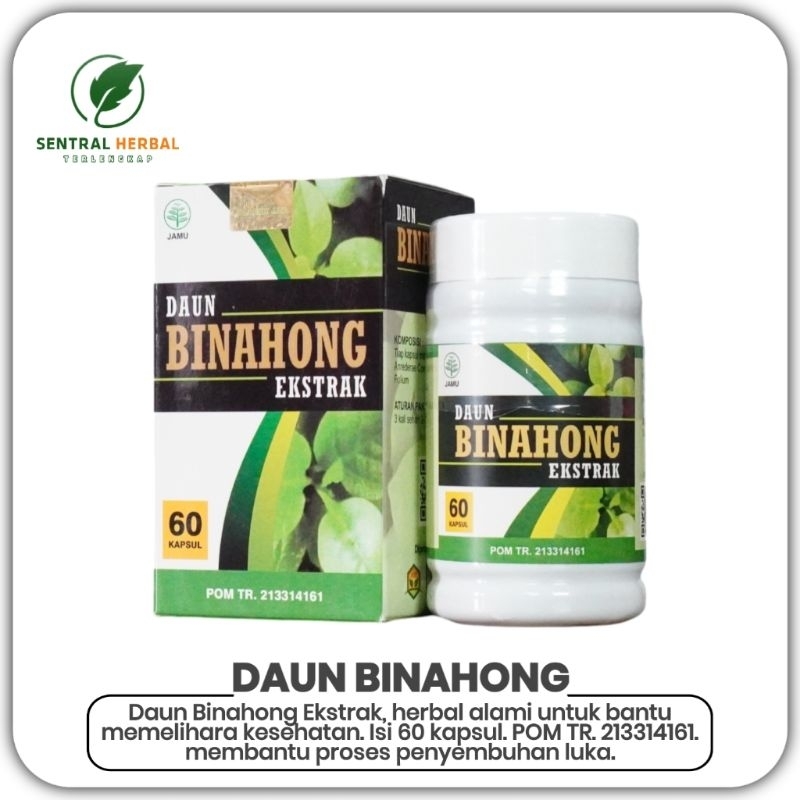Jual Daun Binahong Ekstrak Herbal 21 Isi 60 Kapsul | Shopee Indonesia