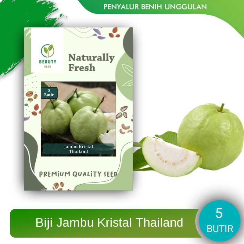 Jual 5 Biji Benih Jambu Keristal Thailand Jumbo - Biji Jambu Thailand ...