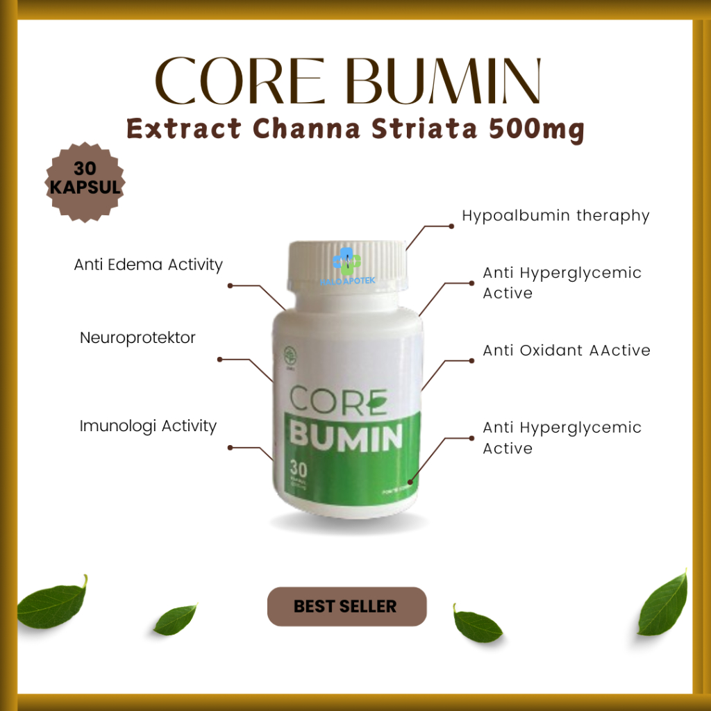 Jual CORE BUMIN 500MG | CAPSUL IKAN GABUS | SUPLEMEN PENYEMBUH LUKA ...