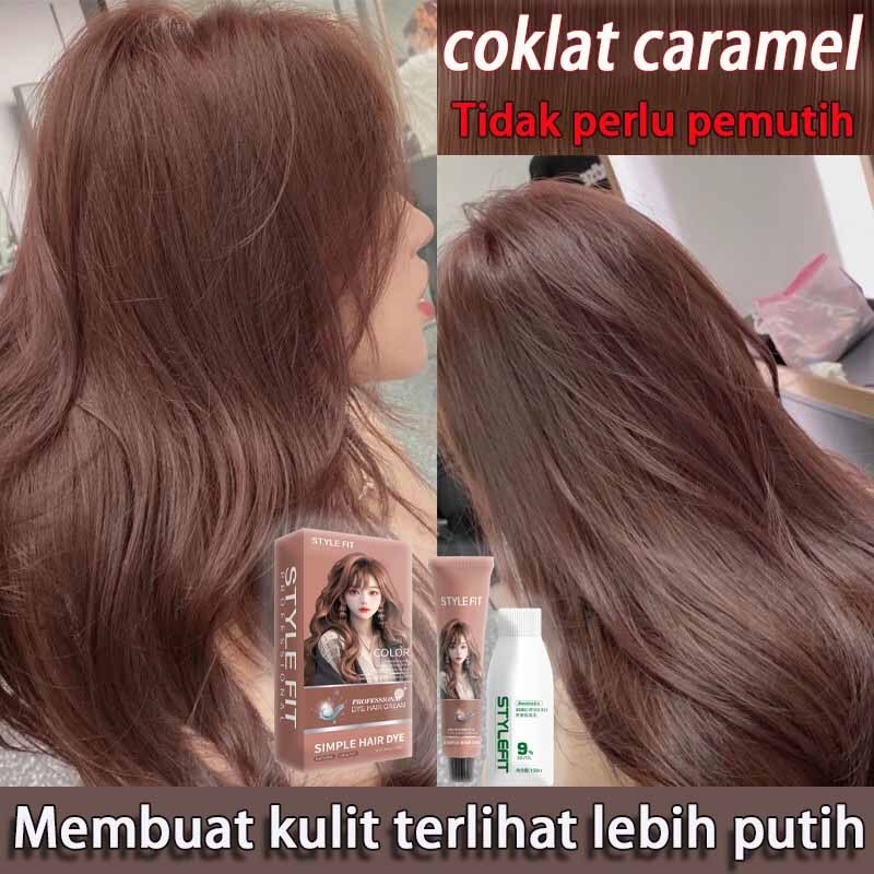 Jual 【Diskon terbatas】STYLE FIT cat rambut 200ml Pewarna rambut ...