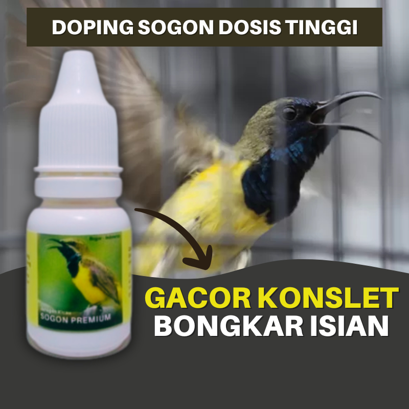 Jual Doping Burung Sogon Dosis Tinggi Biar Gacor Konslet Untuk Lomba ...