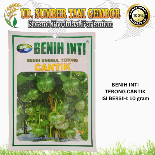 Jual BENIH TERONG CANTIK (10 gr) BENIH INTI BENIH UNGGUL | Shopee Indonesia