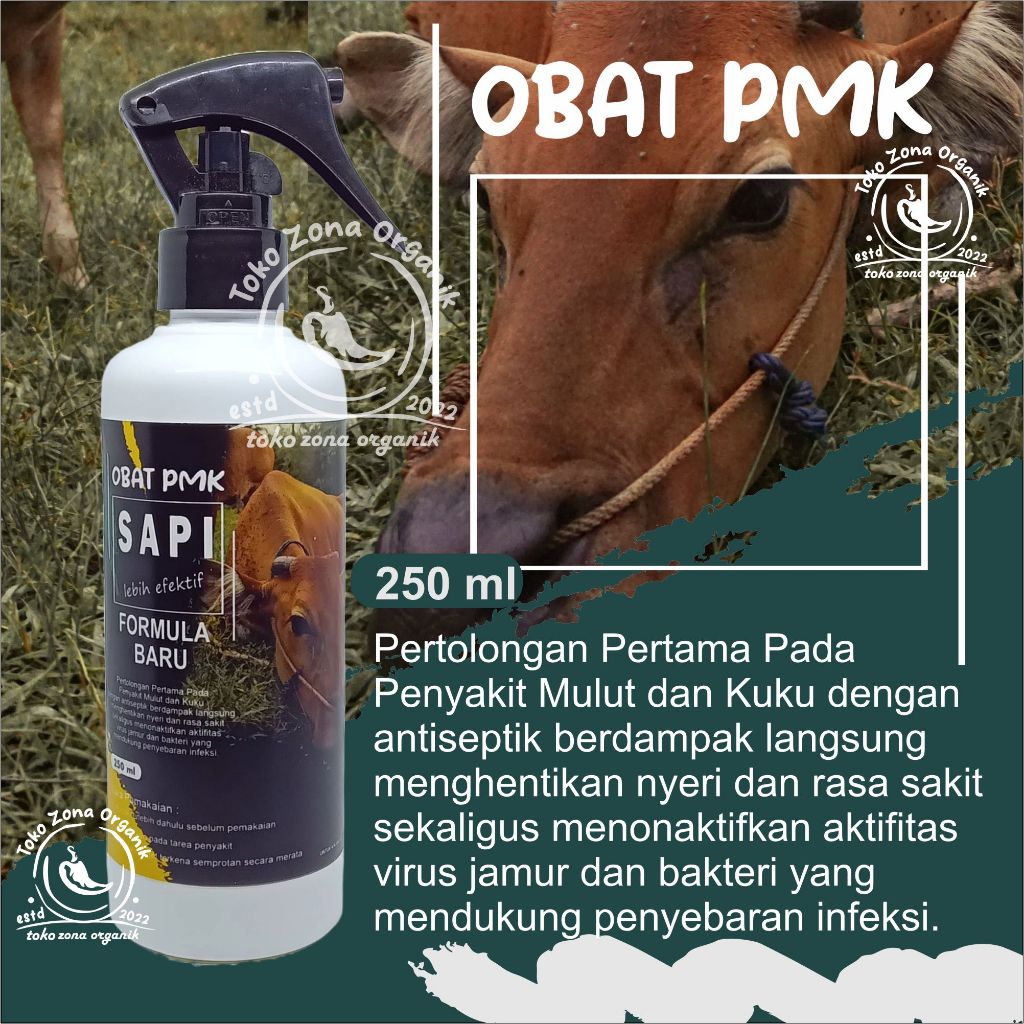 Jual OBAT PMK SAPI BOROK KAMBING RUMINANSIA IRITASI KULIT LUKA SAPI ...