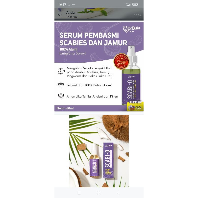 Jual Scabi-o scabio membasmi jamur dan scabies pada kucing | Shopee Indonesia