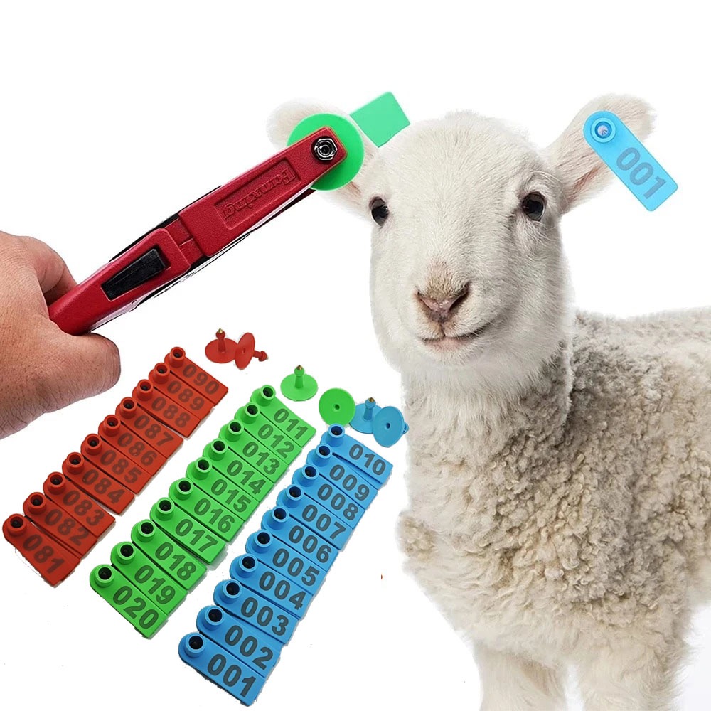 Jual 100PCS Eartag Kambing Domba/Ear Tag Sapi Babi Penanda/Anting ...