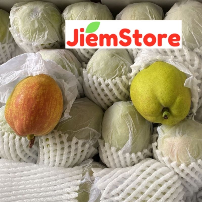 Jual Pear Xianglie Pir Xiang lie Buah Segar Fresh Fruit | Shopee Indonesia