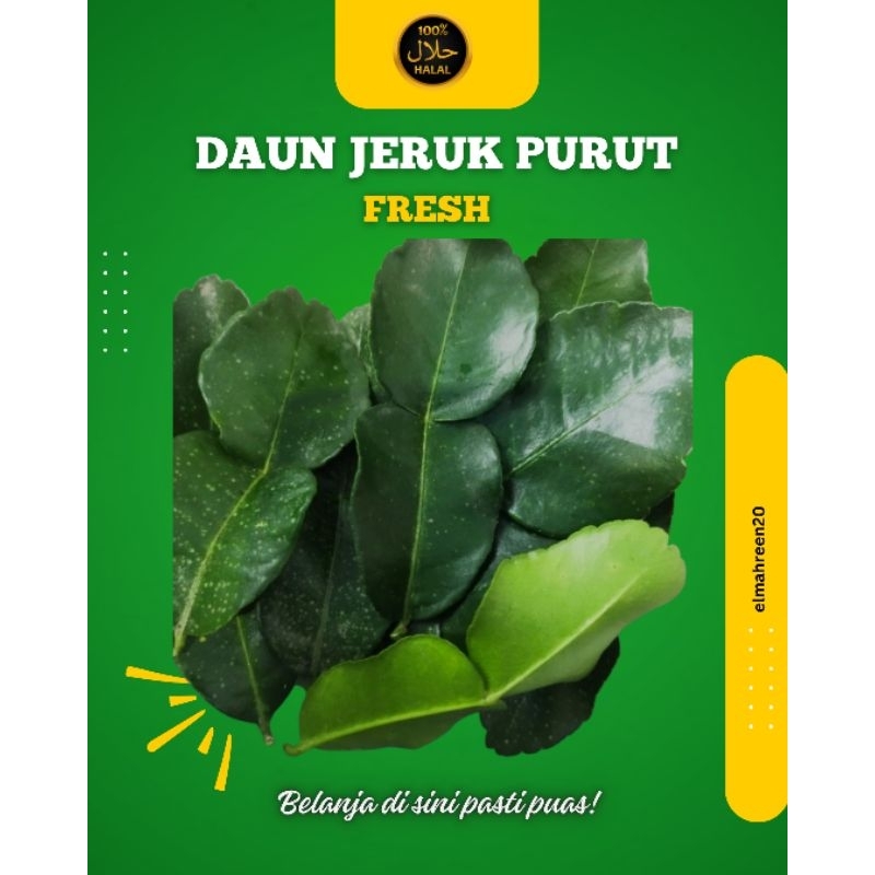 Jual DAUN JERUK PURUT FRESH, (dipetik saat akan dikirim) | Shopee Indonesia