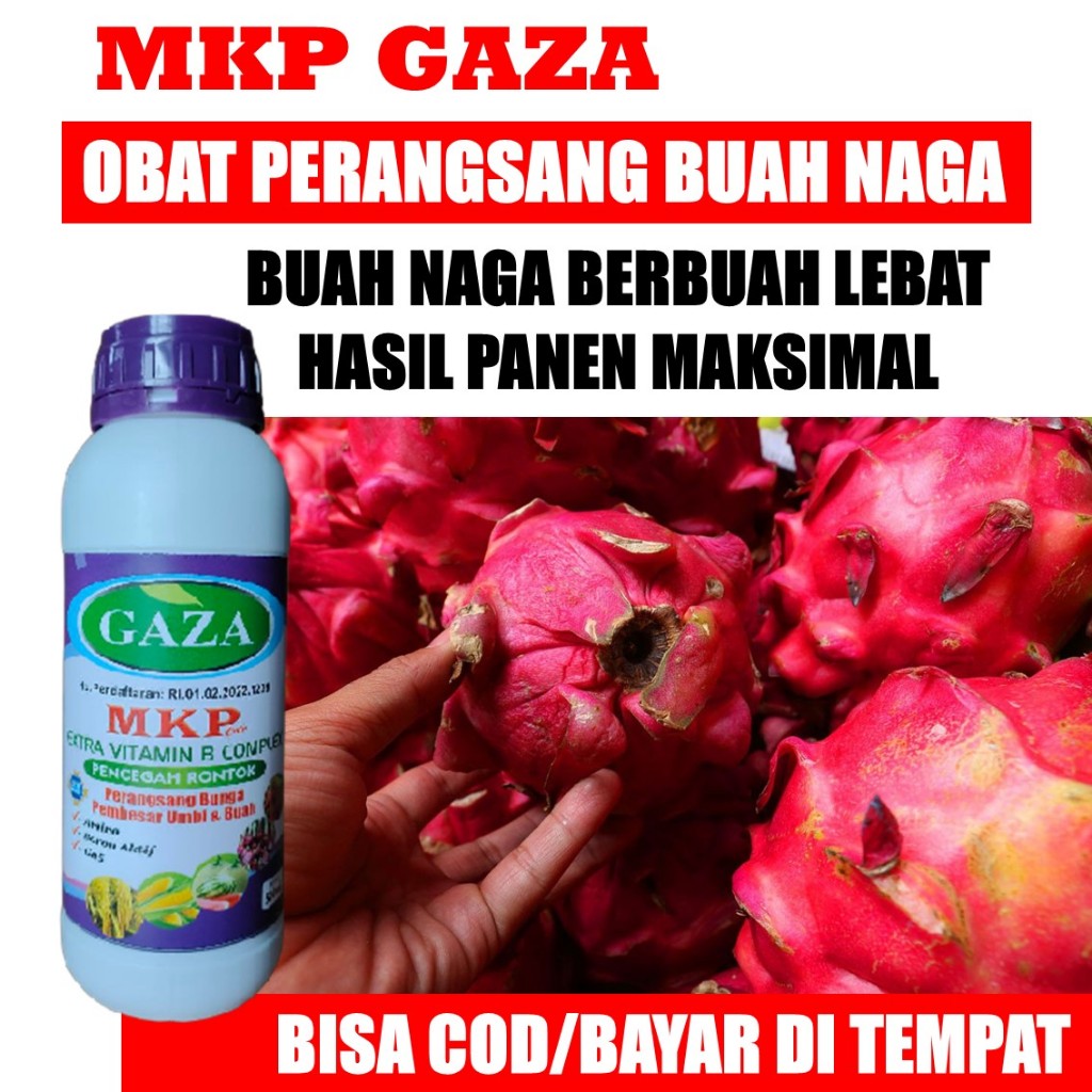 Jual OBAT PELEBAT TANAMAN BUAH NAGA & Jenis Buah Naga Lainnya MKP Cair ...