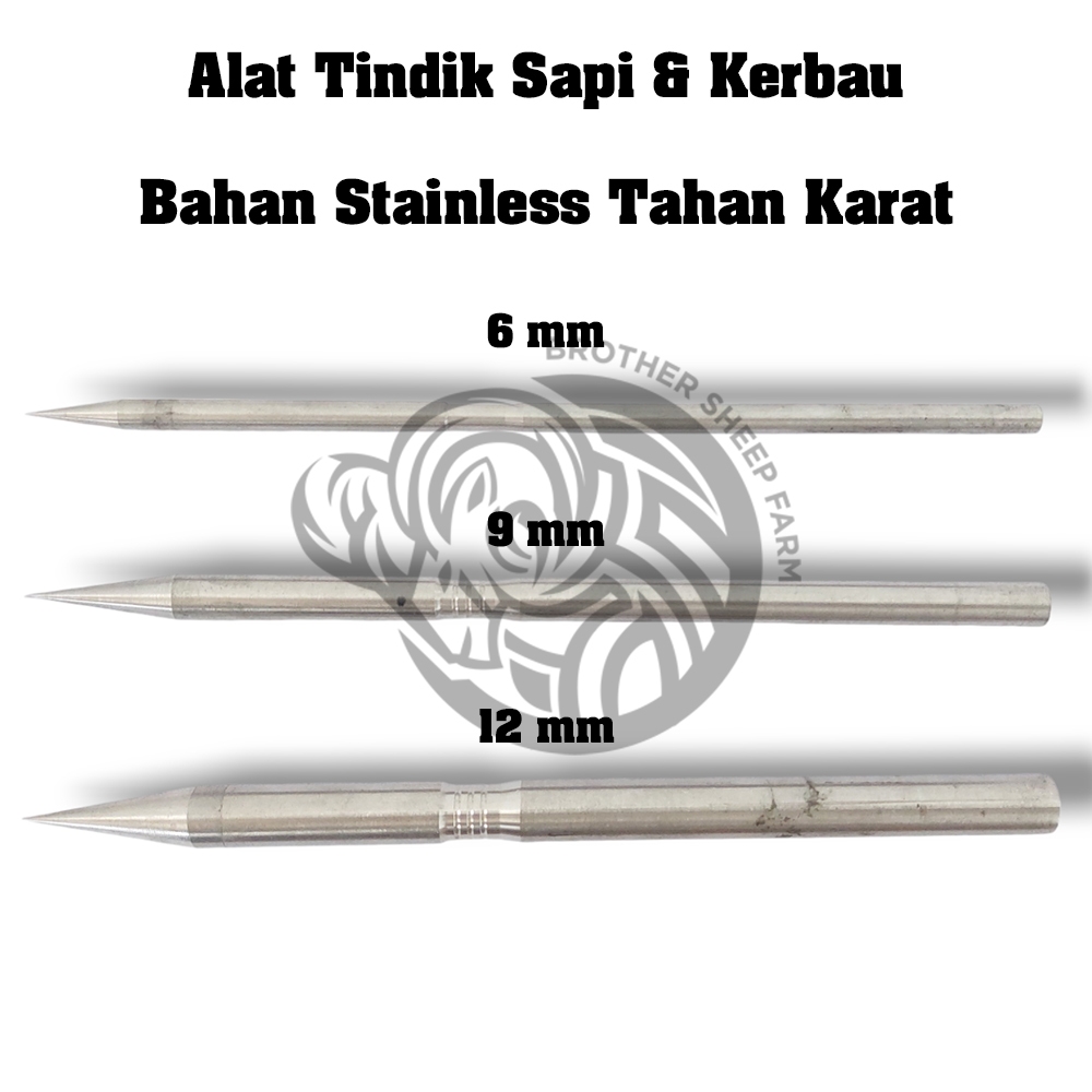 Jual Jarum Tindik Alat Tendok Hidung Stainless Hewan Ternak Sapi Kerbau ...