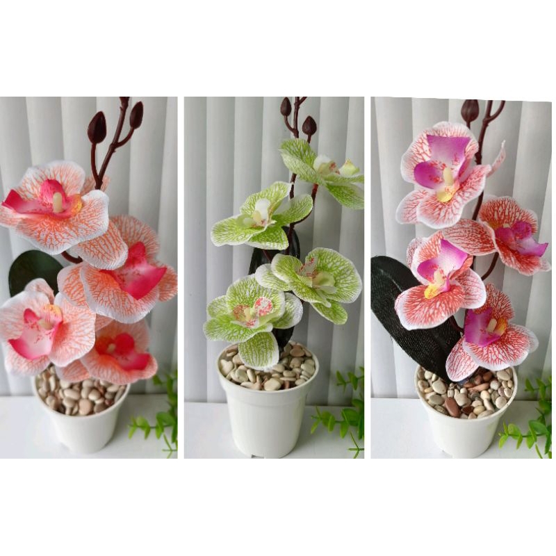 Jual BUNGA HIAS ARTIFICIAL ANGGREK BULAN | Shopee Indonesia