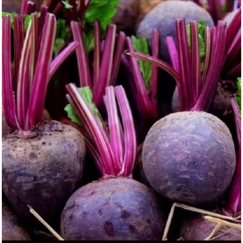 Jual Buah BIT / Beet Root Fresh ( 500g - 1000g ) | Shopee Indonesia