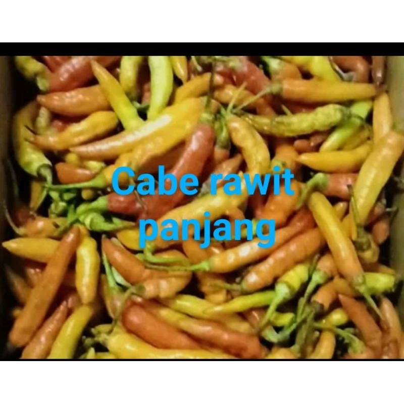Jual cabe rawit panjang 250g | Shopee Indonesia