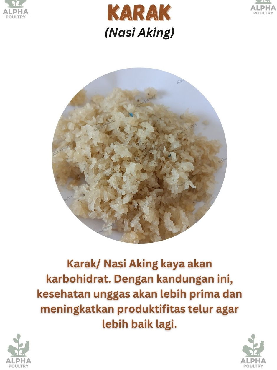 Jual Nasi karak Nasi Aking Alternatif Pakan Ternak Kemasan 1Kg | Shopee ...