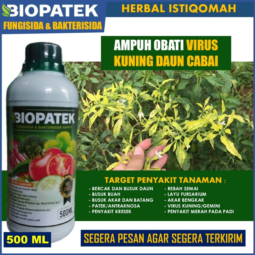 Jual 500 ML BIOPATEK Fungisida Hayati MAMPU KENDALIKAN VIRUS KUNING ...