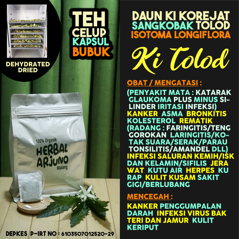 Jual Dehydrated Dried Teh Celup Kapsul Bubuk Daun Ki Tolod Ki Korejat ...