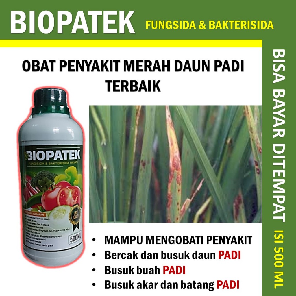 Jual PUPUK MURAH BIOPATEKFungisida & Bakterisida Hayati 500ml ...