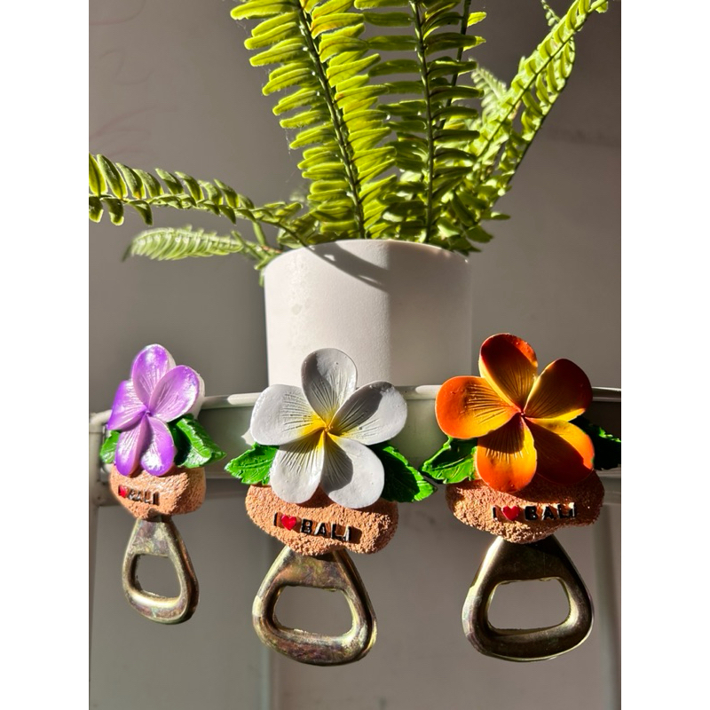 Jual PEMBUKA BOTOL DAN TEMPELAN KULKAS BALI | Shopee Indonesia