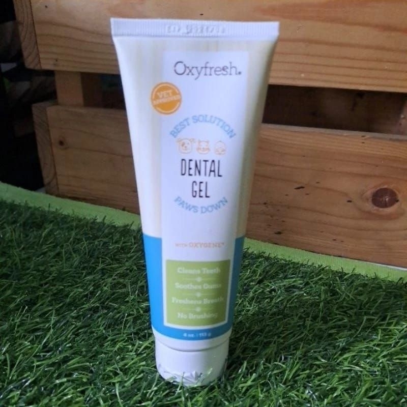 Jual Oxyfresh Dental Gel - Tooth Paste 113 gr | Shopee Indonesia