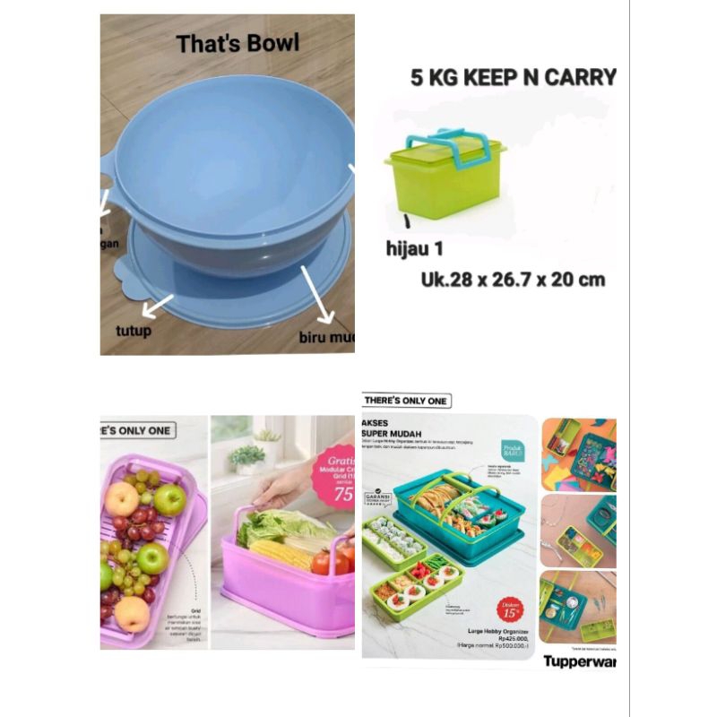 Jual ORIGINAL TUPPERWARE THAT BOWL 7.8L/ KOTAK MODULAR CRISPER 6L ...