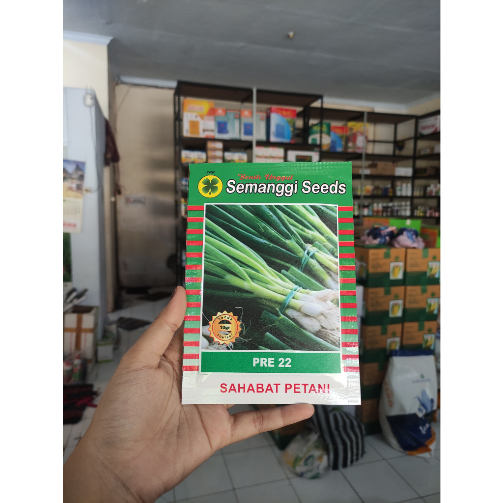 Jual benih daun pre 22 semanggi seeds | Shopee Indonesia